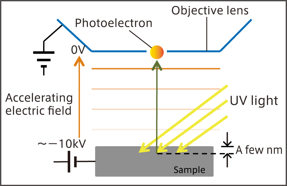 PEEM | SUGA Co., Ltd.